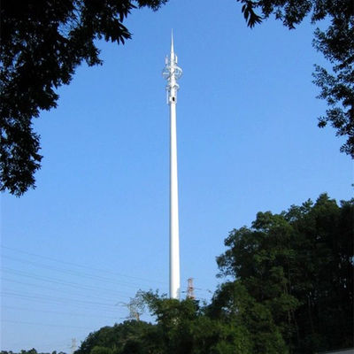 Professional Telecommunications Towers , Disguised Pine Tree Tower
